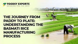 Basmati Rice Exporters: Understanding The Basmati Rice Manufacturing ...